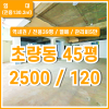 임대 부산초량동사무실 역세권 대로변 좋은 위치에 실평수 넓은 부산역상가2층 엘리베이터 근생의원 관리비5만원 네이버 블로그